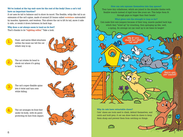 100 Questions about Cats - Poppyseed Kids